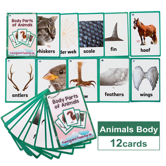 Baby English Learning Word Table Flashcard Toys – Montessori Vision